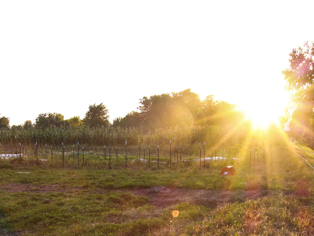 Upcoming Intake for Growing Forward 2 (GF2) Funding Assistance Program ...