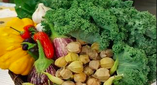 A Q&A Lesson in Local Food Literacy: How can I source locally grown ...