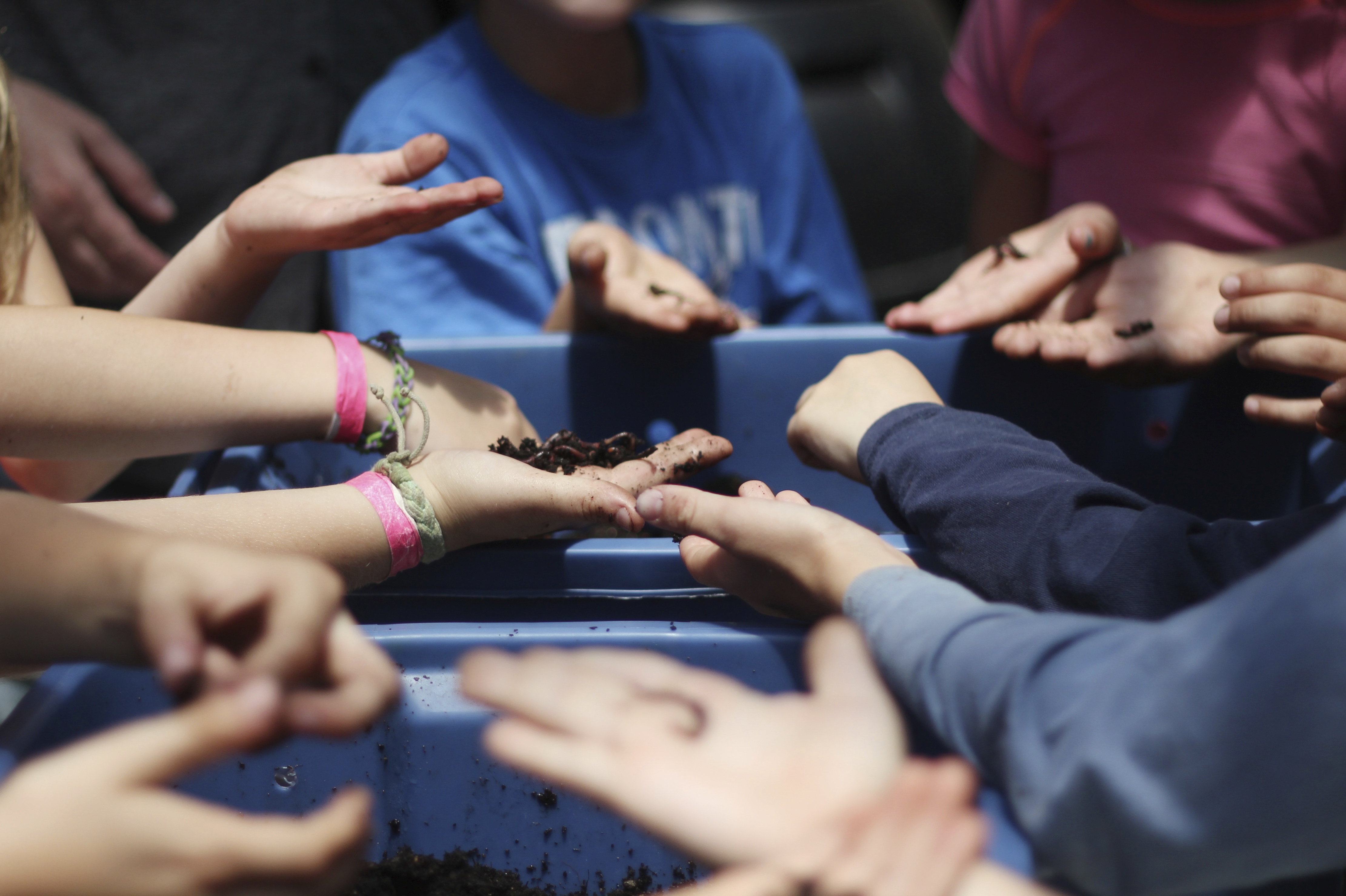 Evergreen seeking Compost Crew Volunteers | Sustain Ontario
