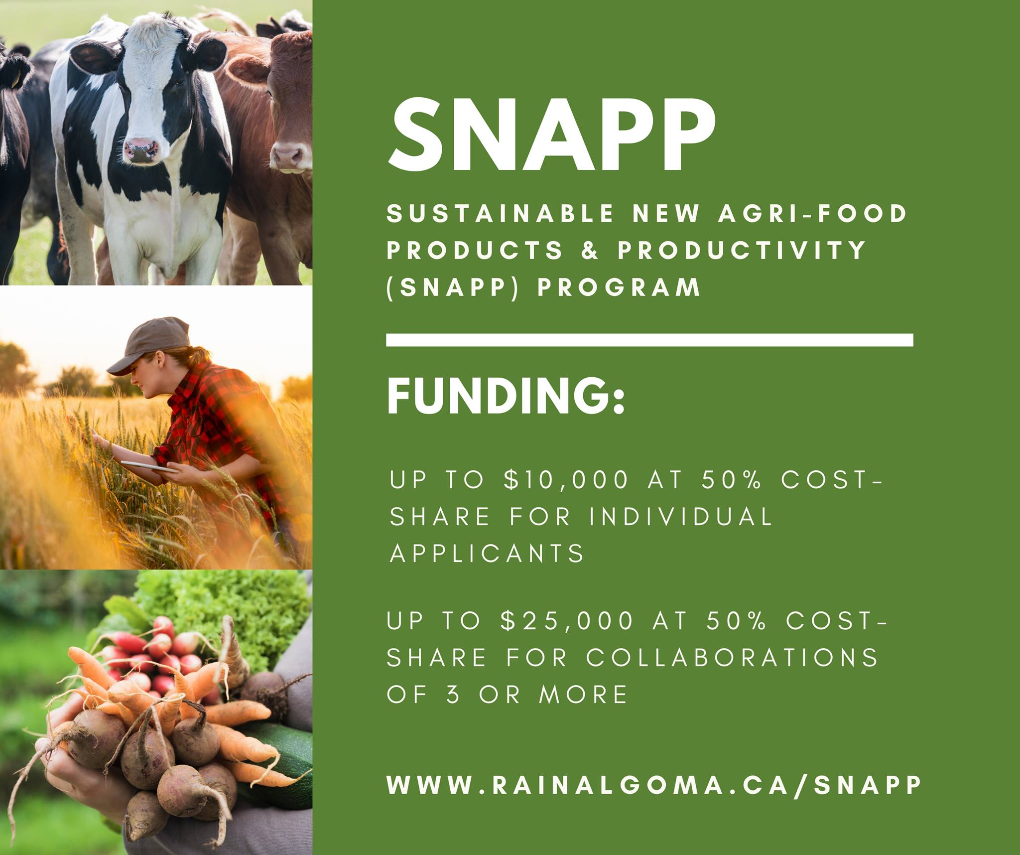 Intake 2 for Sustainable New Agri-Food Products & Productivity Program ...