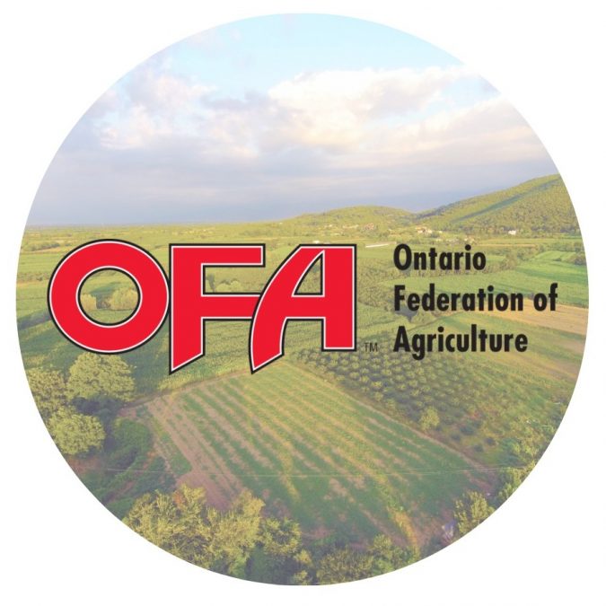 OFA Webinar: Profiling Your Agri-Food Sector Using Impactful Stats ...