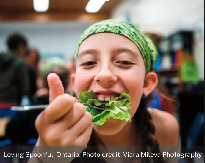 Ontario announces an additional $5 million for Student Nutrition ...