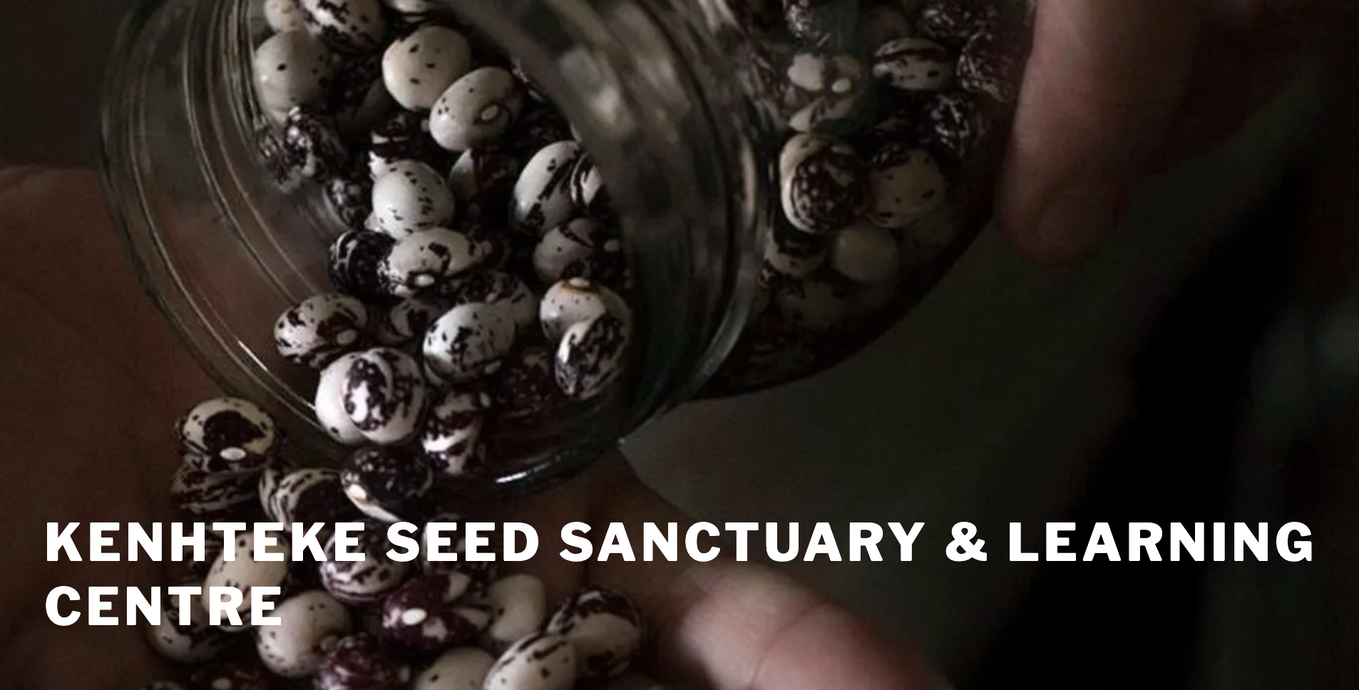 Experience a day at the Kenhte:ke Seed Sanctuary and Learning Centre ...