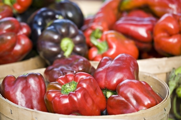 Local Food Procurement | Sustain Ontario